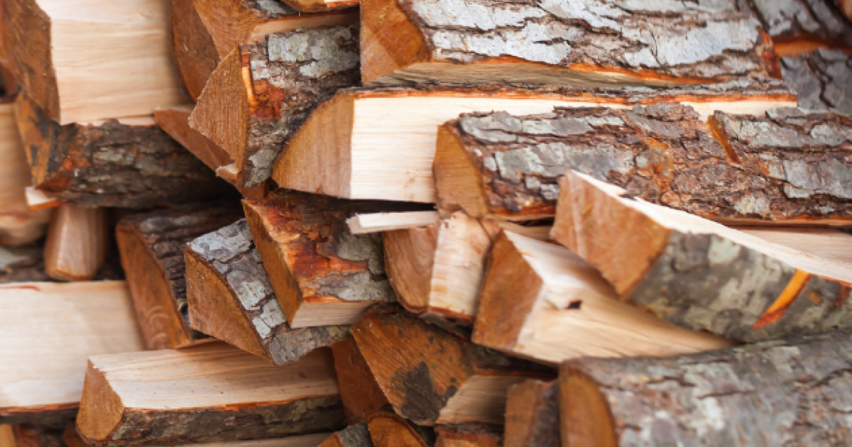 Choosing The Right Wood | Zip Fires